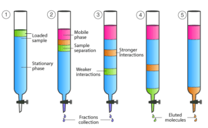 Chromatography | Chromatograph | THE INSTRUMENT GURU