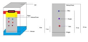 Paper chromatography | THE INSTRUMENT GURU